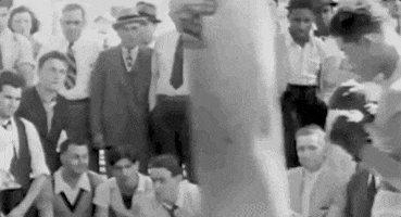 World Heavyweight Champion GIFs - Find & Share on GIPHY