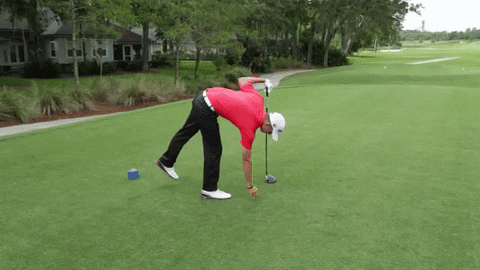 GIF by Wilson Golf - Find & Share on GIPHY