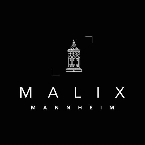 Malix GIFs on GIPHY - Be Animated