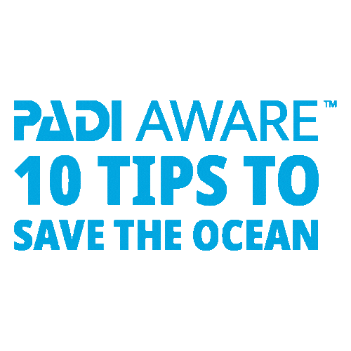 PADI AWARE GIFs on GIPHY - Be Animated