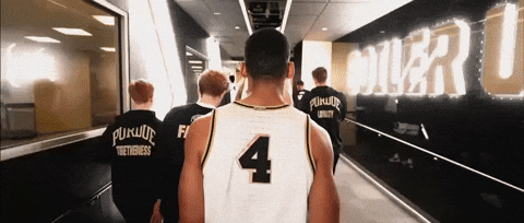 Purdue Sports GIFs on GIPHY - Be Animated