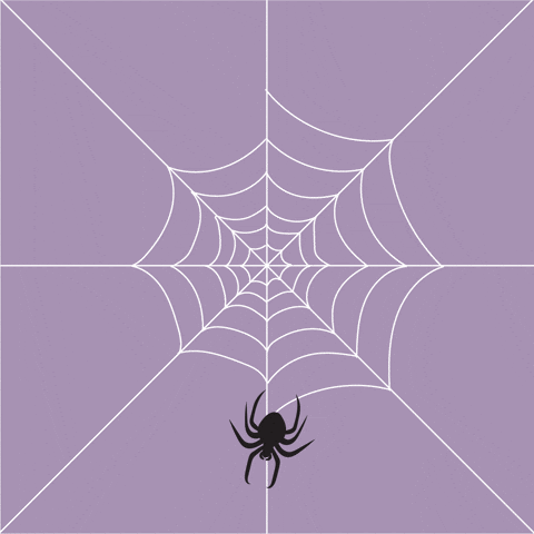 Spider Web Halloween GIF - Find & Share on GIPHY