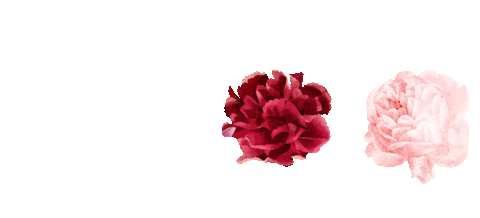 SWISH GIFs on GIPHY - Be Animated