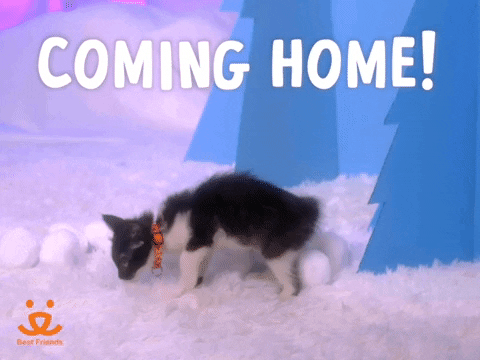 Save Them GIFs - Get the best GIF on GIPHY