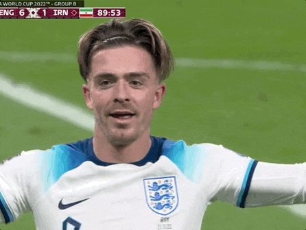 World Cup Gifs 2022