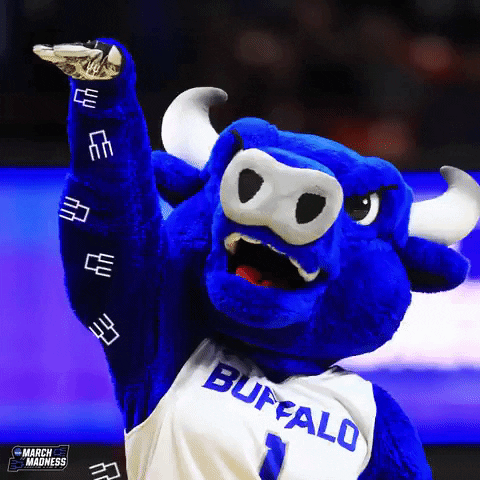 March Madness Bracket GIFs - Get the best GIF on GIPHY