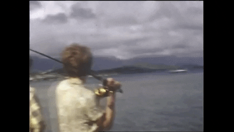 Brothers Who Fish Together Stay Together GIFs - Get the best GIF on GIPHY