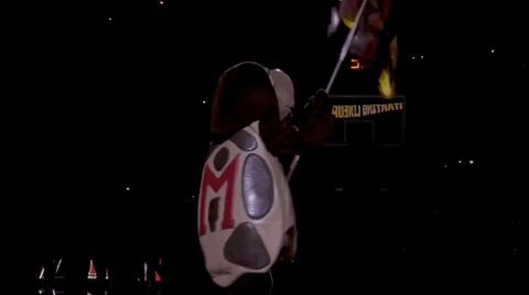 Testudo Umd GIFs - Get the best GIF on GIPHY