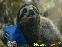 How About No Sloth Gif