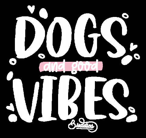 Dog-vibing GIFs - Get the best GIF on GIPHY
