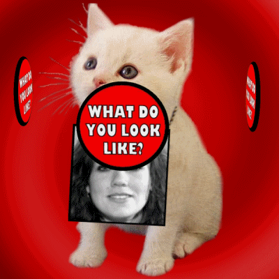 What Do You Look Like GIFs - Get the best GIF on GIPHY