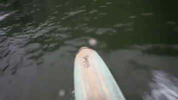 Oregon Anglers GIFs - Find & Share on GIPHY