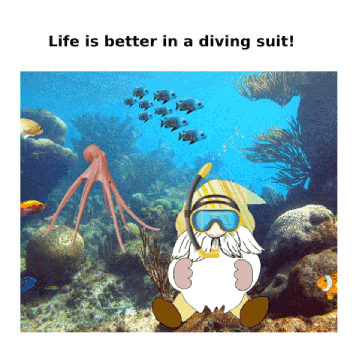 Diving-suit GIFs - Get the best GIF on GIPHY