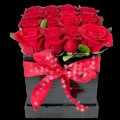 Roses Box GIFs - Get the best GIF on GIPHY