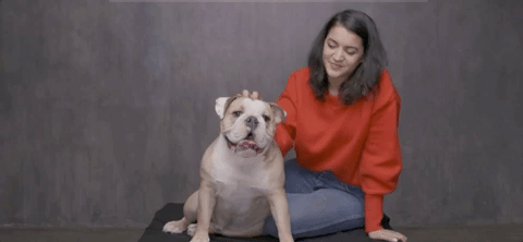 Banban GIFs - Get the best GIF on GIPHY