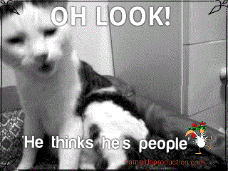 He Thinks Hes People GIFs - Get the best GIF on GIPHY