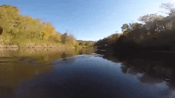 Ohio GIFs - Find & Share on GIPHY