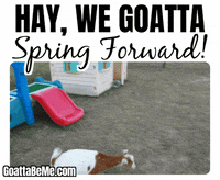 Spring Forward Funny Animal