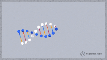 Double Helix Animation GIF by The Explainer Studio - Find & Share on GIPHY
