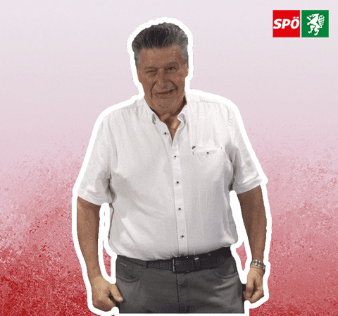 Sieg Burgermeister GIF by SPÖ Steiermark - Find & Share on GIPHY