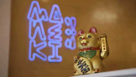 Golden Cat GIFs - Get the best GIF on GIPHY