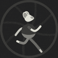 Mouse Running Wheel Gif