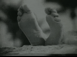 Wiggling Toes GIFs - Find & Share on GIPHY