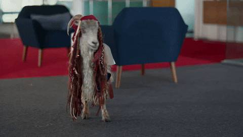 Pirates Of The Caribbean Goat GIF by Disney+ - Find & Share on GIPHY