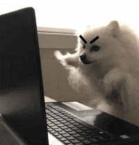 Angry Dog Gif