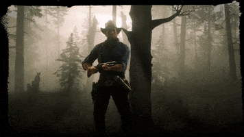 Red Dead Redemption 2 GIFs - Find & Share on GIPHY