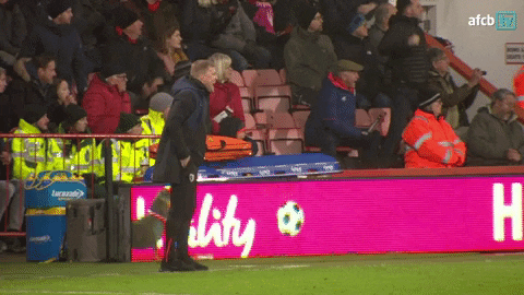 Football Celebrate GIF by AFC Bournemouth - Find & Share on GIPHY