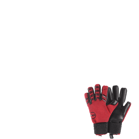 Goalkeeper gloves GIFs on GIPHY - Be Animated