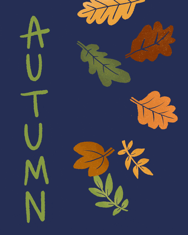 Autumn-fall-leaves-charge GIFs - Get the best GIF on GIPHY