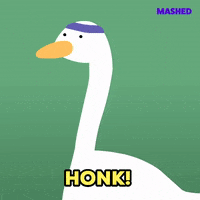 Laughing Goose Gif