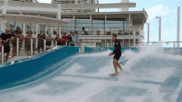 Cruise Ship GIFs - Find & Share on GIPHY