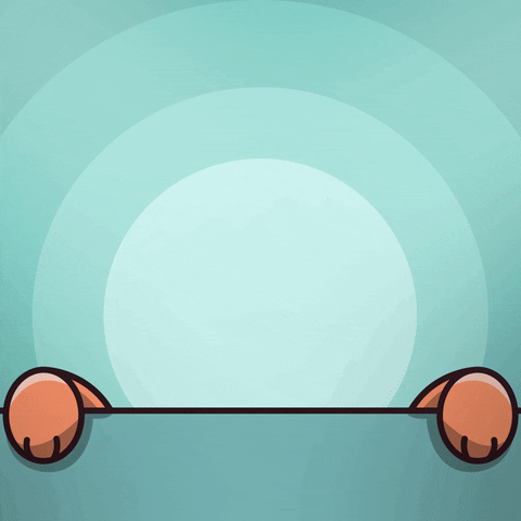 Squish-the-cat GIFs - Get the best GIF on GIPHY