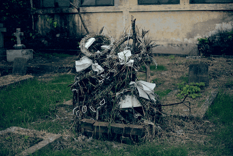 Bangkok-protestant-cemetery GIFs - Get the best GIF on GIPHY
