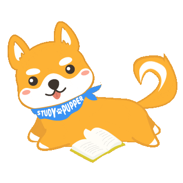 Dog Studying Gif