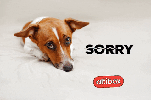 So Apologies For That GIFs - Get the best GIF on GIPHY
