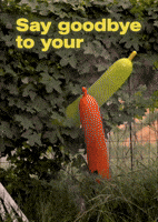 Limitations GIFs - Get the best GIF on GIPHY