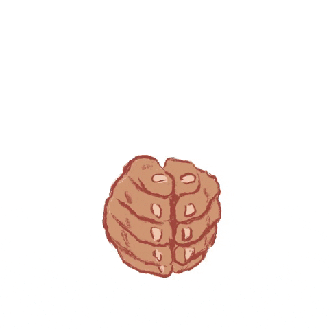 World Soil Day by Conscious Planet - Save Soil | GIPHY