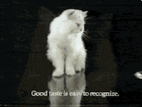 Fancy Cat Gif