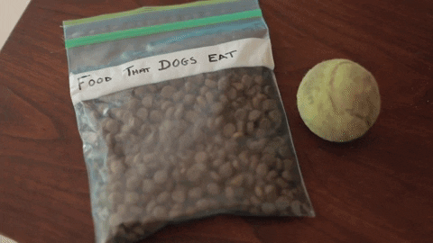 Dog-eating-food GIFs - Get the best GIF on GIPHY