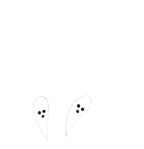 Transparent Ghost Gif