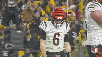 Cincinnati Bengals GIFs on GIPHY - Be Animated