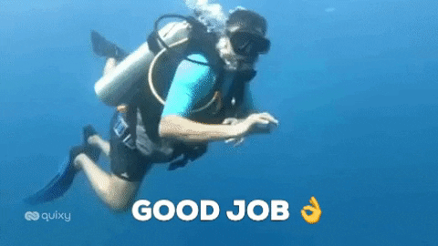 Scuba Good Job GIF by Quixy - Find & Share on GIPHY