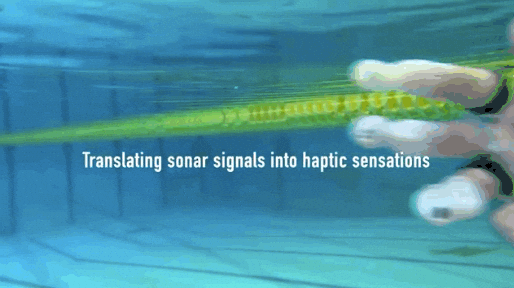 Sonar GIFs - Get the best GIF on GIPHY