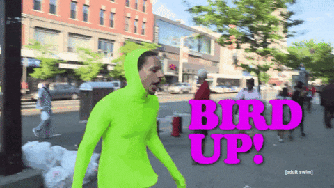 Bird Up Meme GIFs - Get the best GIF on GIPHY