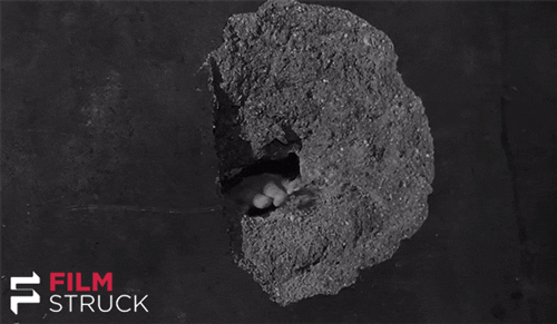 Prison Film GIFs - Get the best GIF on GIPHY