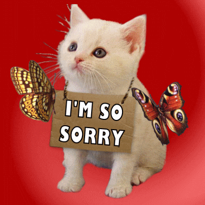 Sorry I Apologize GIF - Find & Share on GIPHY